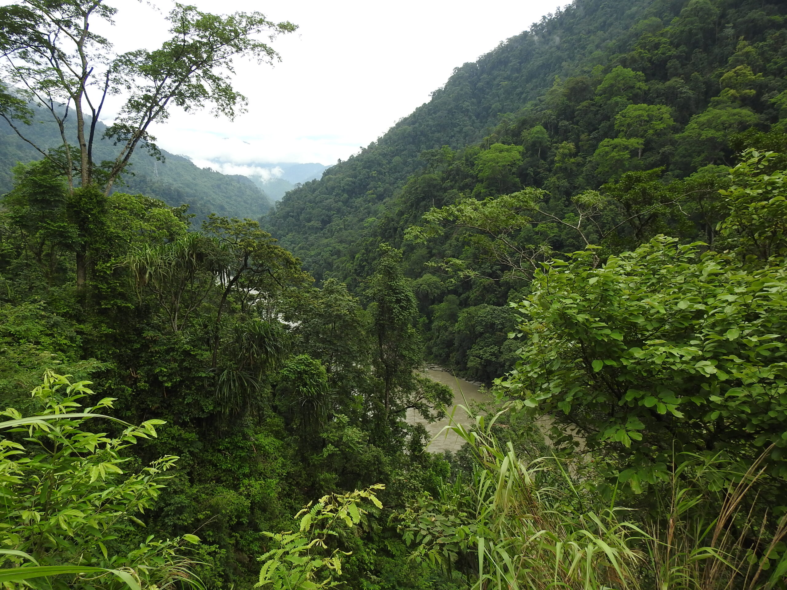 Arunachal Cabinet adopts Pakke Declaration on climate change resilience ...