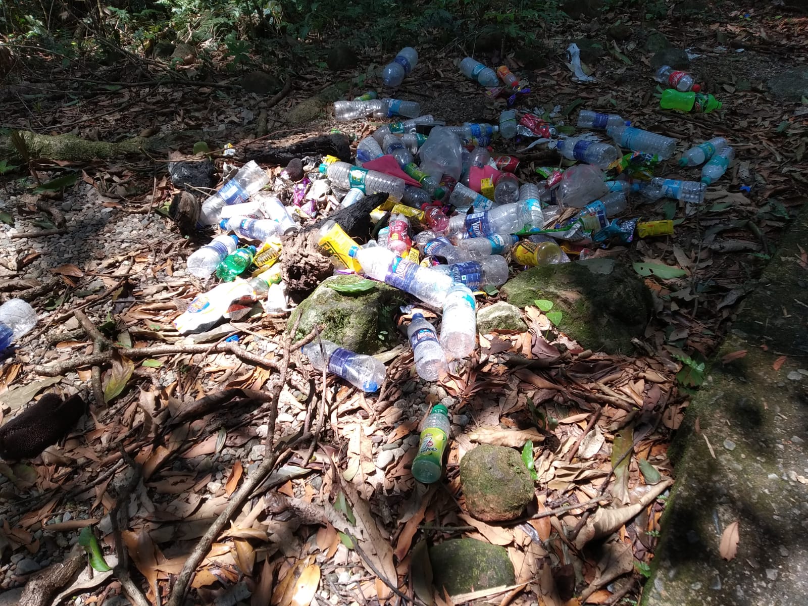 Tackling plastic menace for global sustainability - Meghalaya Monitor